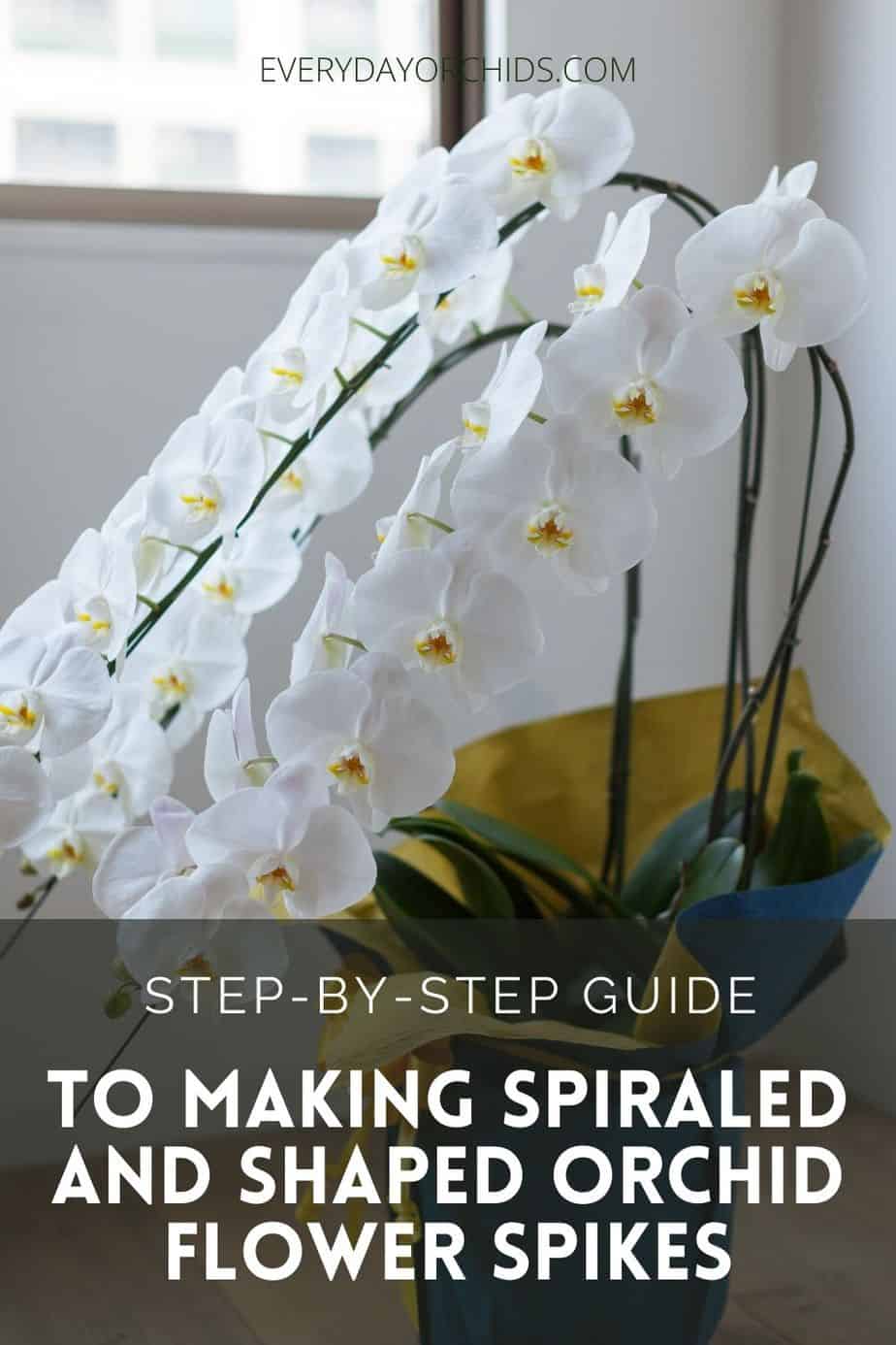 How To Create Shaped and Spiraled Orchid Flower Spikes - Everyday Orchids