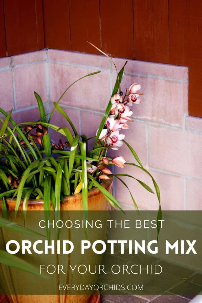 How To Choose The Best Orchid Potting Mix - Everyday Orchids